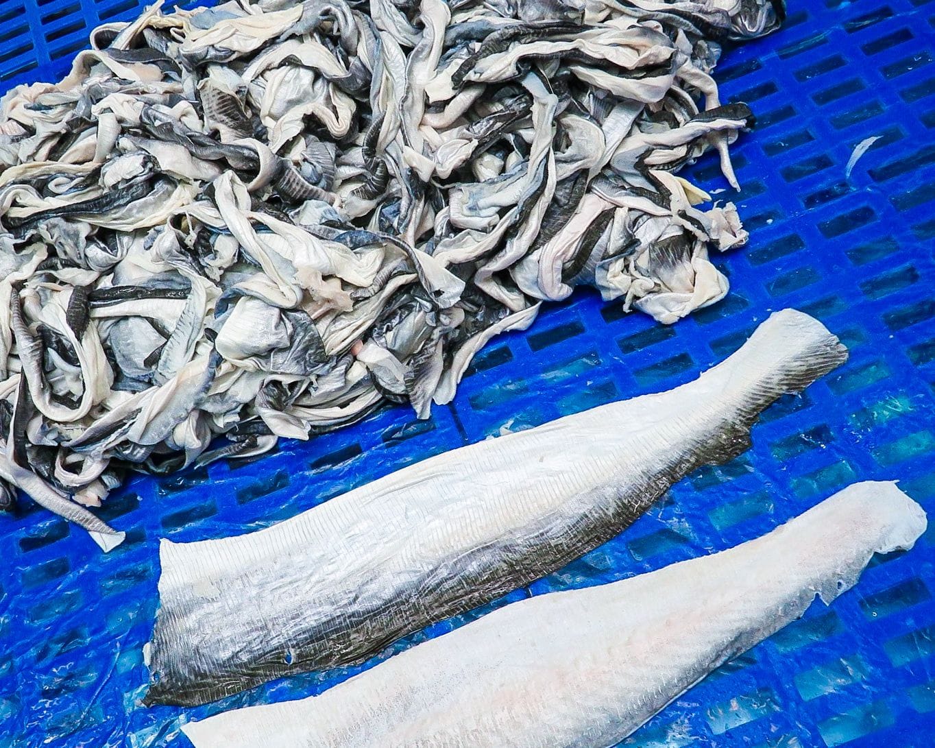 Frozen Basa Pangasius Skin Export | Premium Quality 2025 - Alan Pham ...